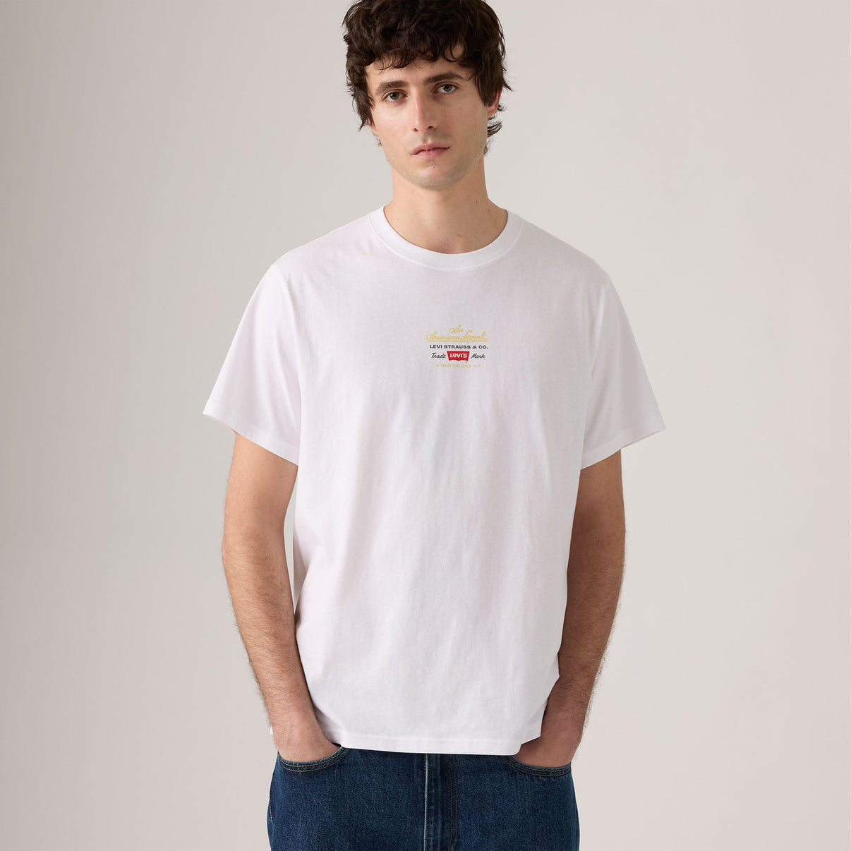 Levi's® Men's Relaxed Short Sleeve Graphic T-Shirt - Multicolour | Levi ...